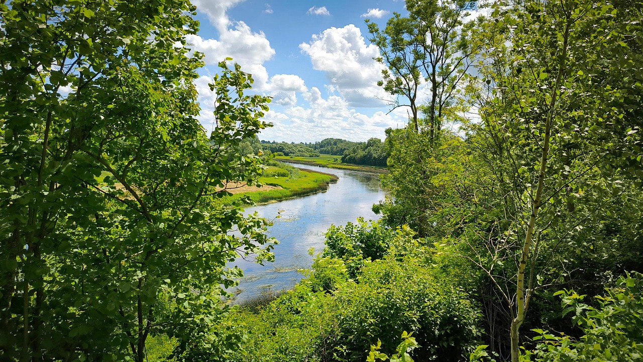 Nature River Trees - Free photo on Pixabay - Pixabay