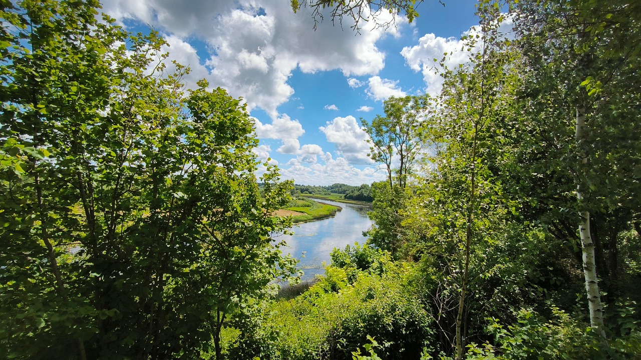Nature River Trees - Free photo on Pixabay - Pixabay