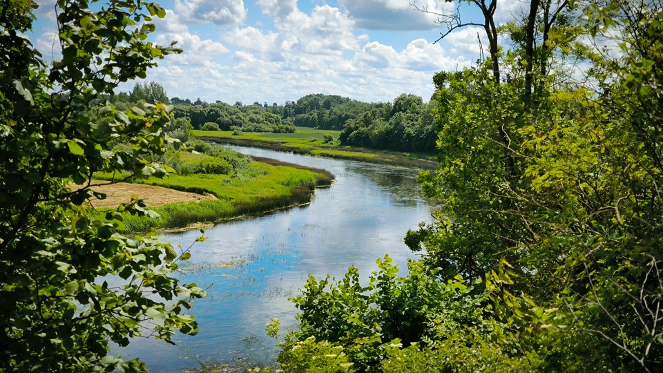 Nature River Trees - Free photo on Pixabay - Pixabay