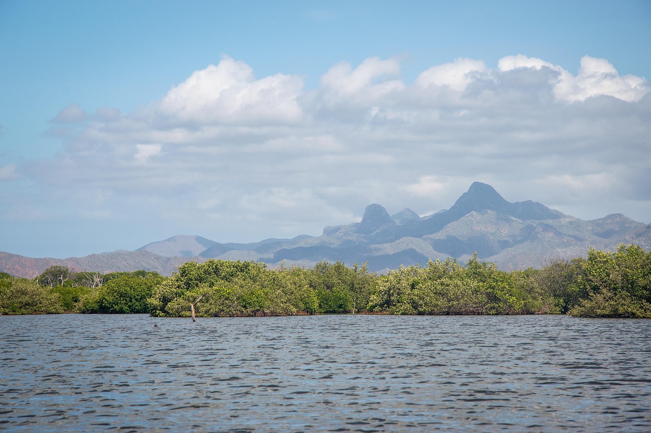 Nature Reserve National Park La - Free photo on Pixabay - Pixabay