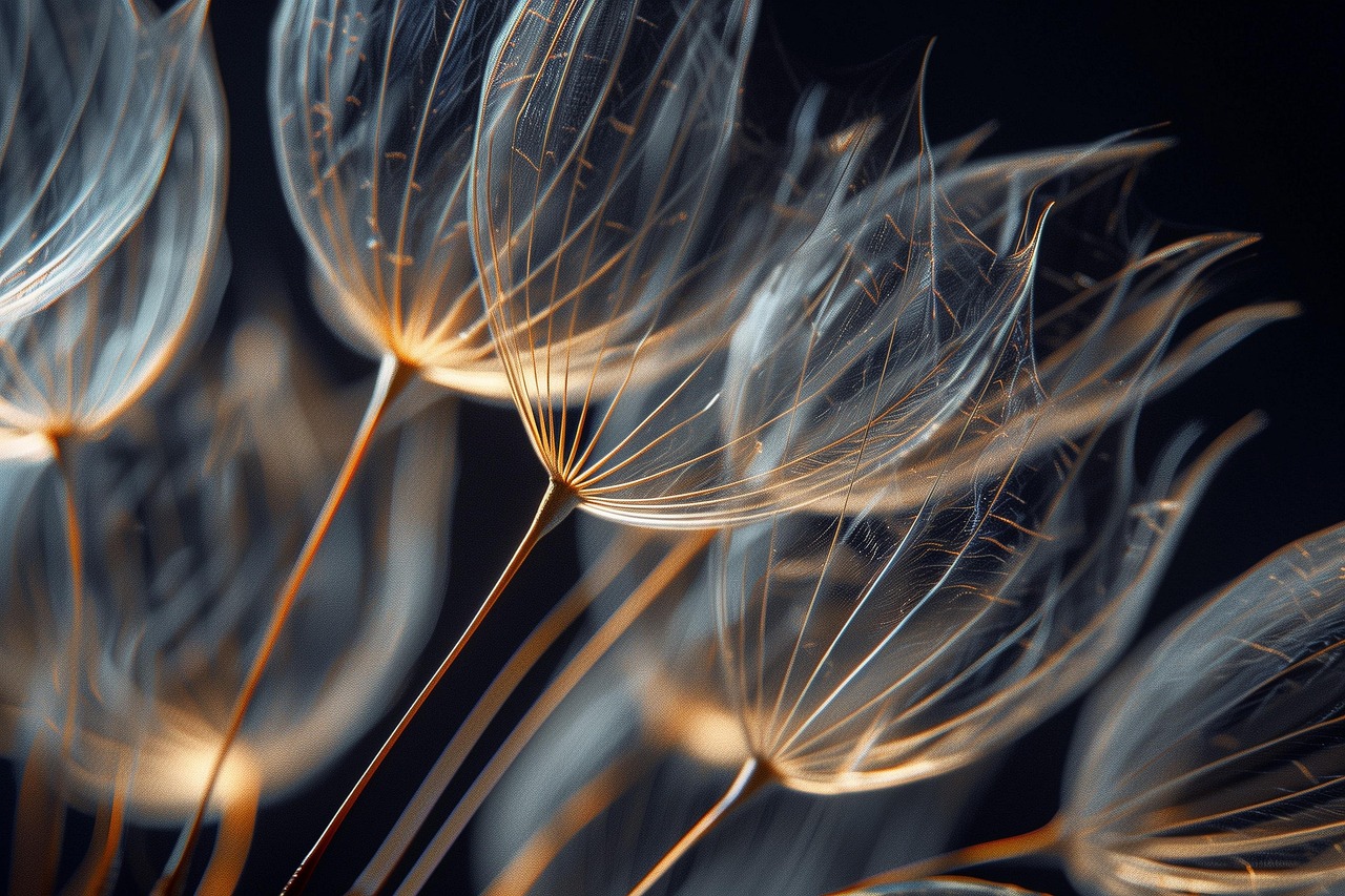 Download Dandelion Seeds Close Up Royalty Free Stock Illustration