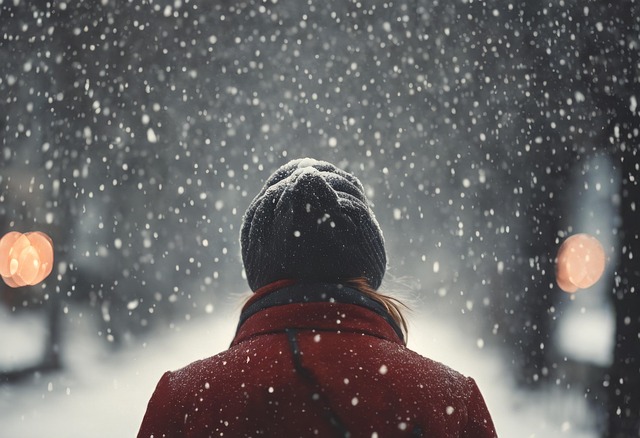 Download Winter, Person, Snow. Royalty-Free Stock Illustration Image ...