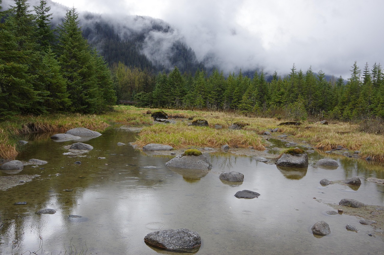 Mendenhall Alaska Lac - Photo gratuite sur Pixabay