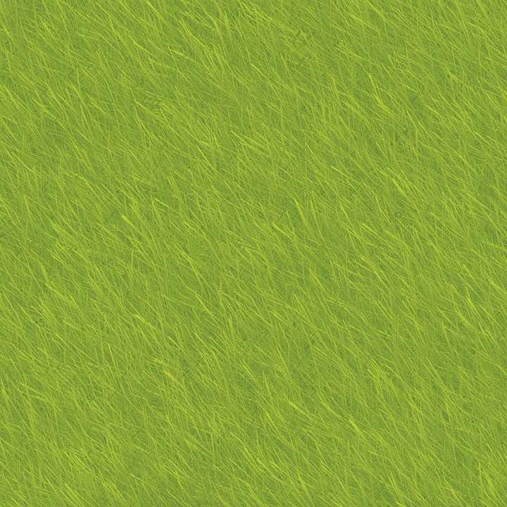 Texture Green Grass - Imagen gratis en Pixabay - Pixabay