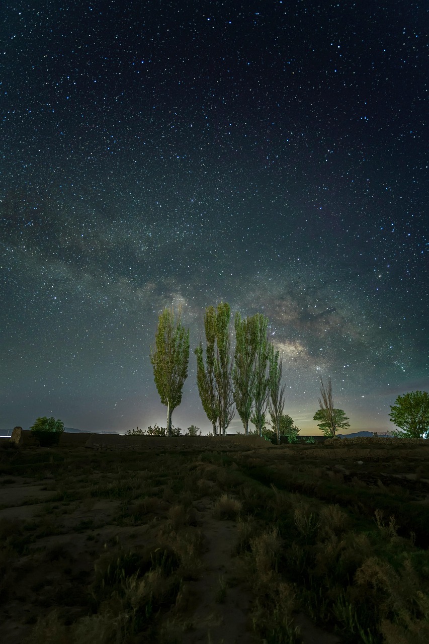 Trees Desert Astronomy Free Photo On Pixabay Pixabay