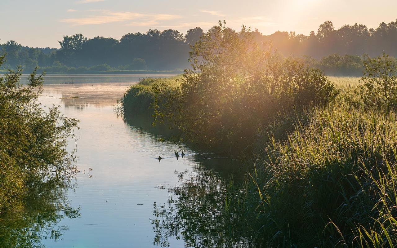 Morning Mood Sunrise Atmosphere - Free photo on Pixabay