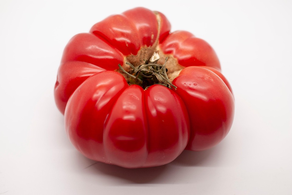 Tomato Red Vegetable - Free photo on Pixabay - Pixabay