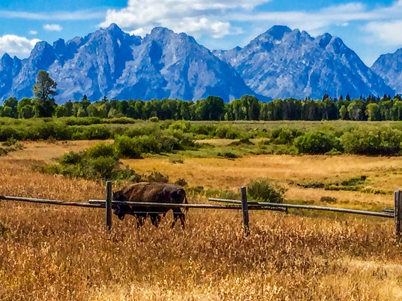 Wyoming Tetons Nature - Free photo on Pixabay