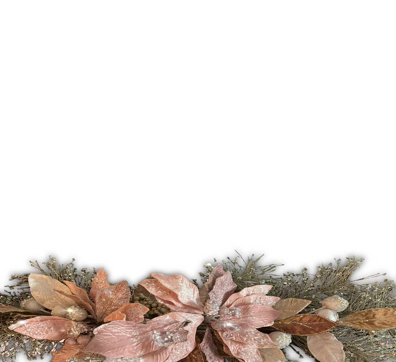 Flores De Natal Rosa Poinsétias - Imagens grátis no Pixabay