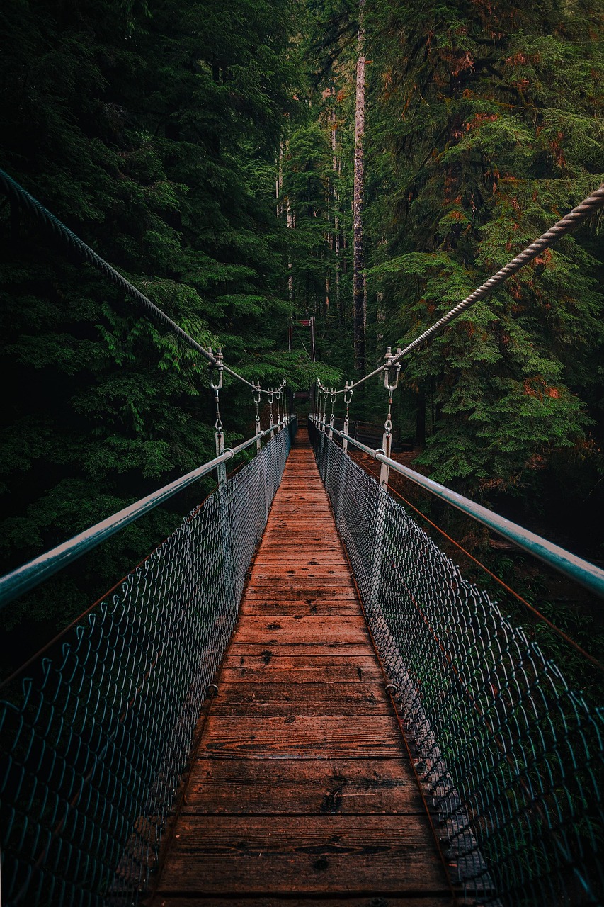 Bridge Path Forest - Free photo on Pixabay - Pixabay