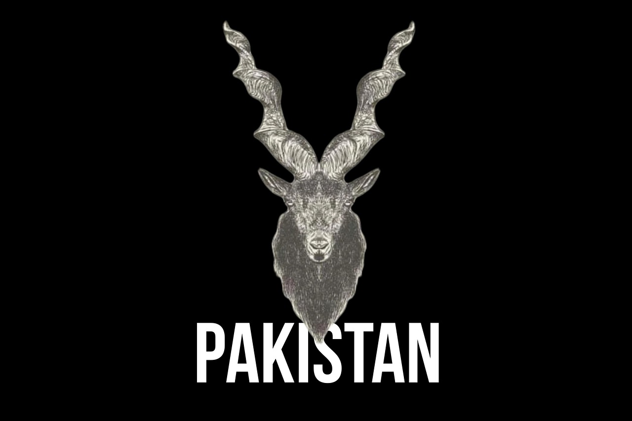 Download Pakistan, Logo, Muslim. Royalty-Free Stock Illustration Image ...