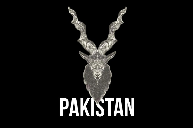 Download Pakistan, Logo, Muslim. Royalty-Free Stock Illustration Image ...