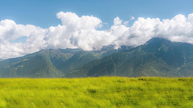 Fundo Relva Verde - Foto gratuita no Pixabay - Pixabay