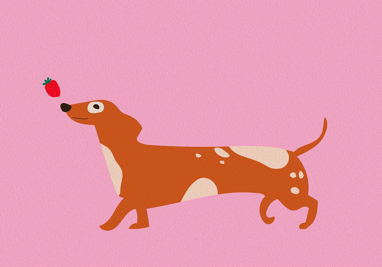 Download Dog, Strawberry, Dachshunds. Royalty-Free Stock Illustration ...