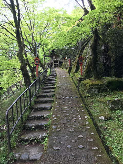 Historic Stone Ladder Green Trees - Free photo on Pixabay - Pixabay