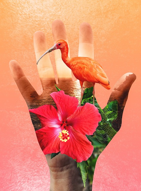 30,000+ Free Bird Collage & Collage Images - Pixabay