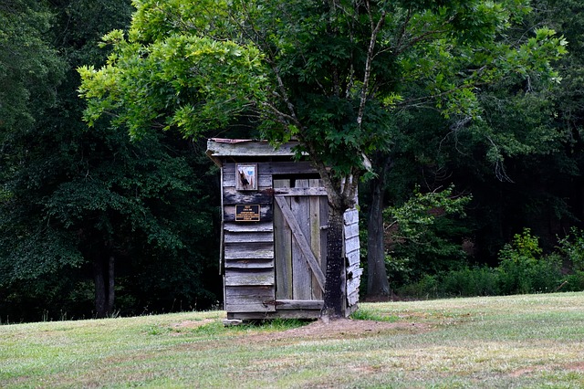 Toilet Wood Shack - Free photo on Pixabay - Pixabay