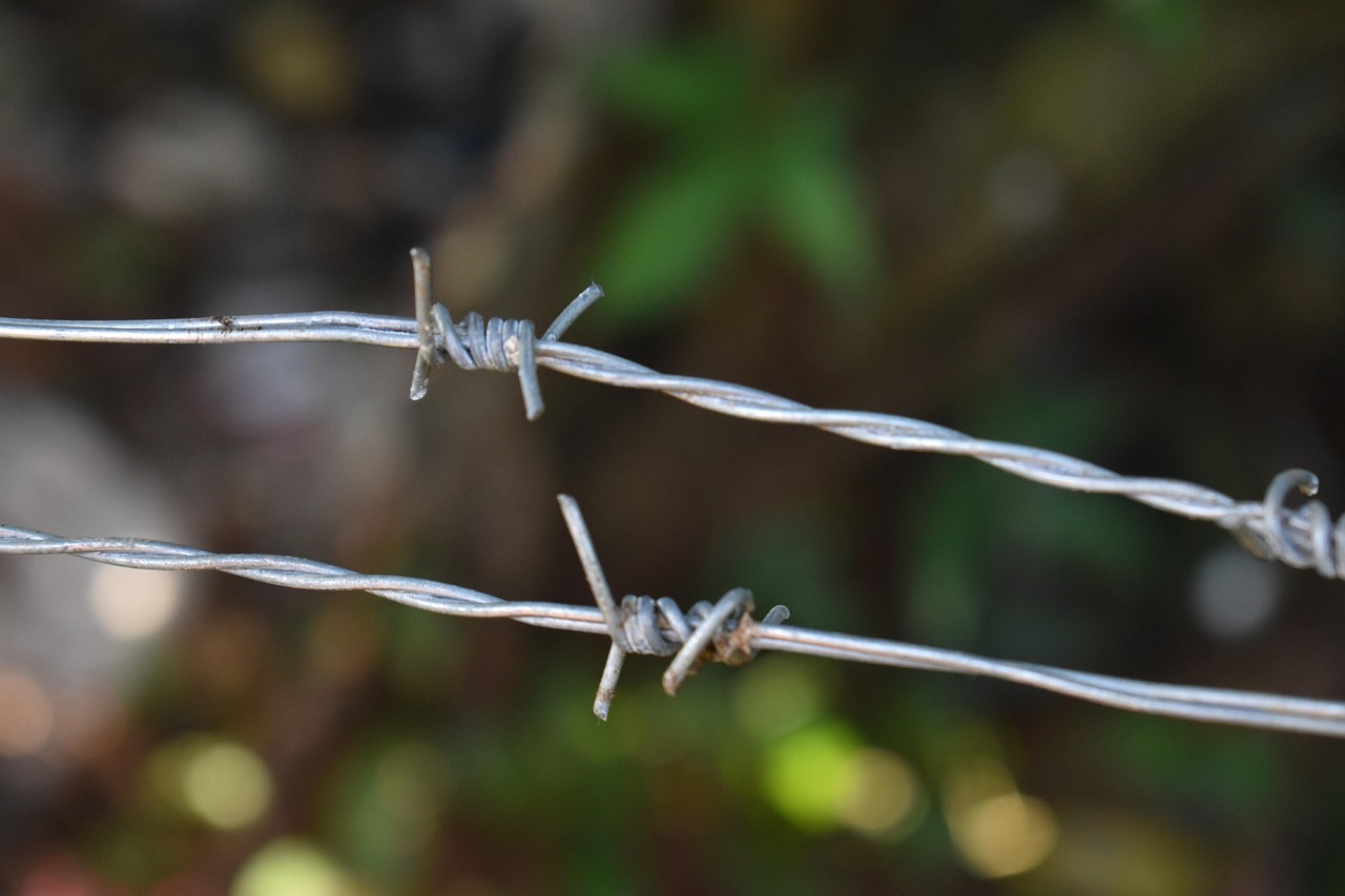 Alambre Púas Metal Foto Gratis En Pixabay