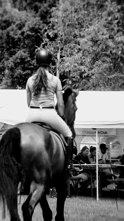 Pferd Reiten Tier - Kostenloses Foto auf Pixabay