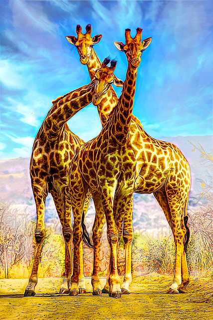 Download Giraffes, Animals, Mammal. Royalty-Free Stock Illustration ...
