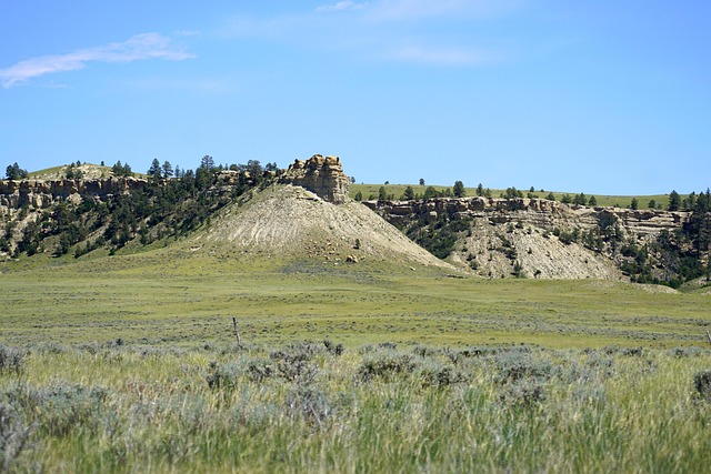 Wyoming Prairie Grass - Free photo on Pixabay - Pixabay