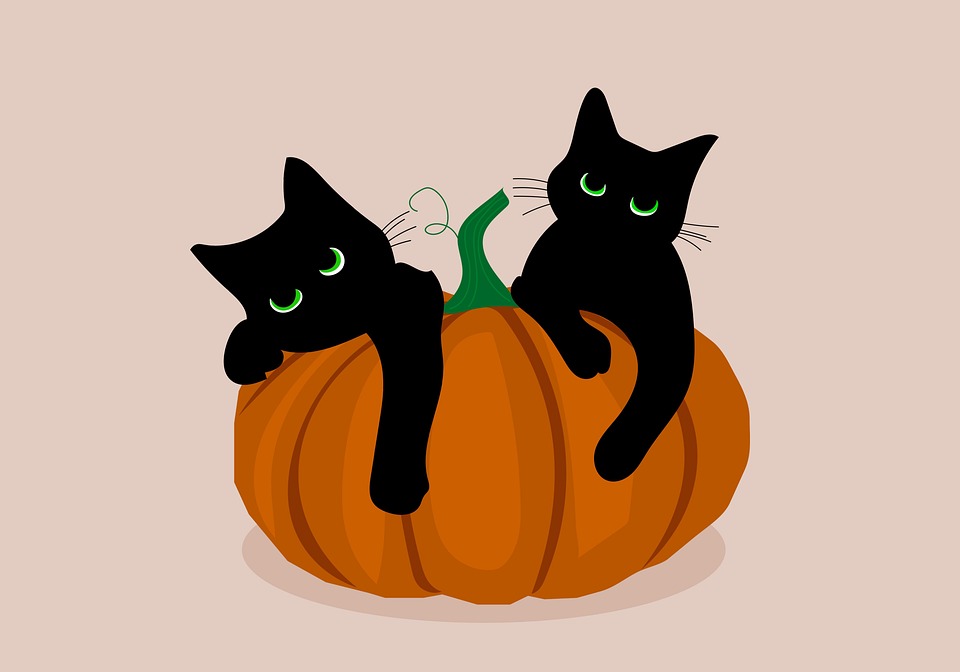 Download Pumpkin, Cats, Pets. Royalty-Free Stock Illustration Image ...