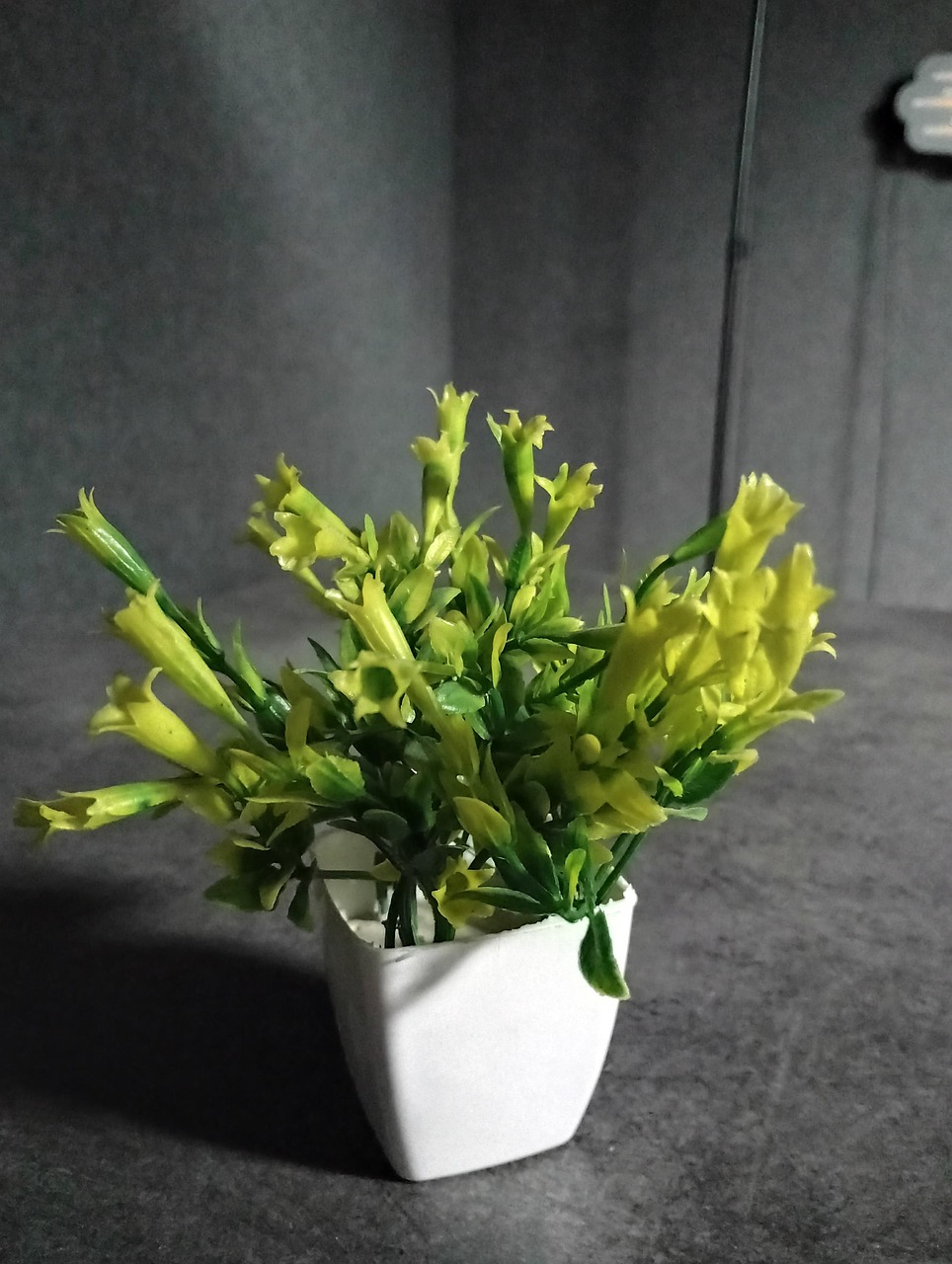 Flowerpot Pot Flower - Free photo on Pixabay