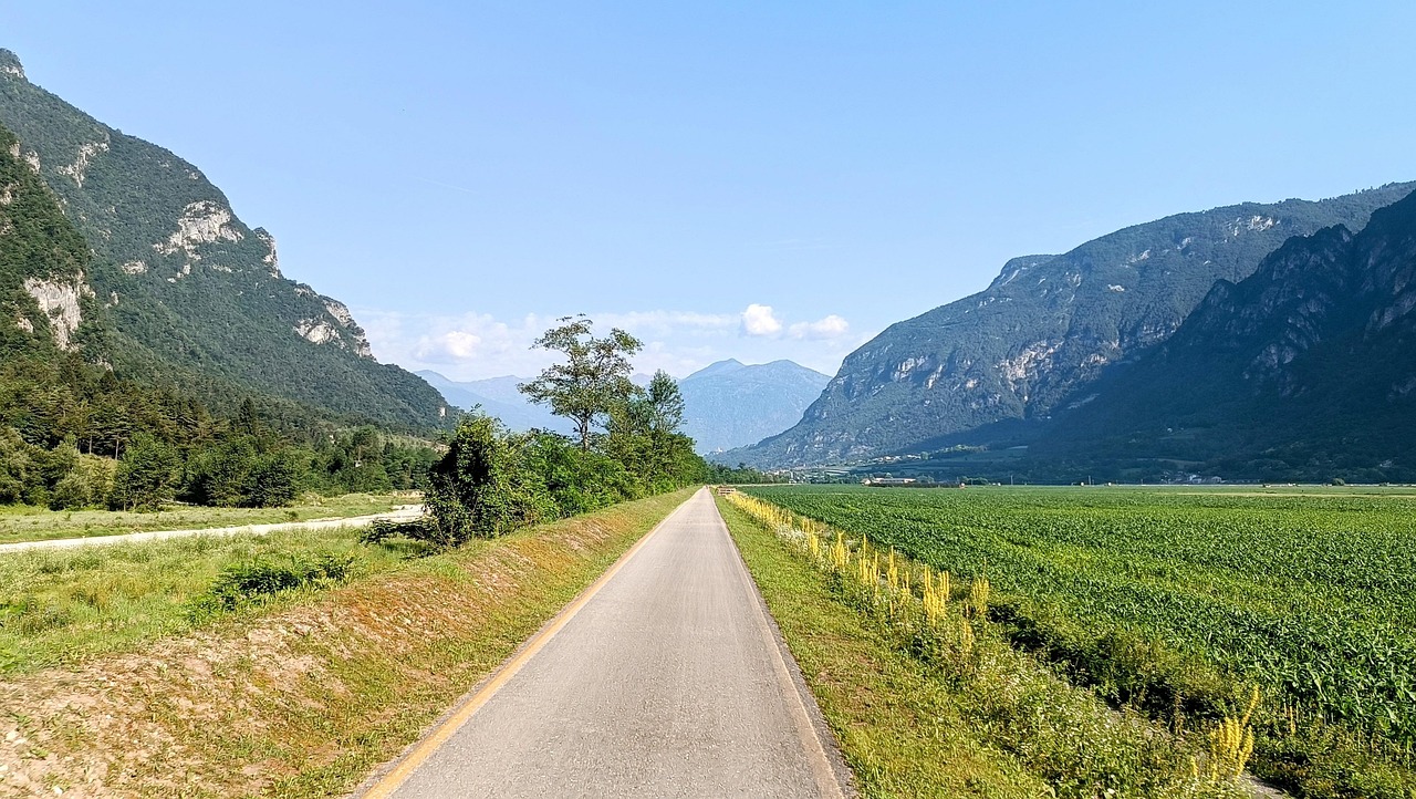 Bicycle Lane Nature Landscape - Free photo on Pixabay