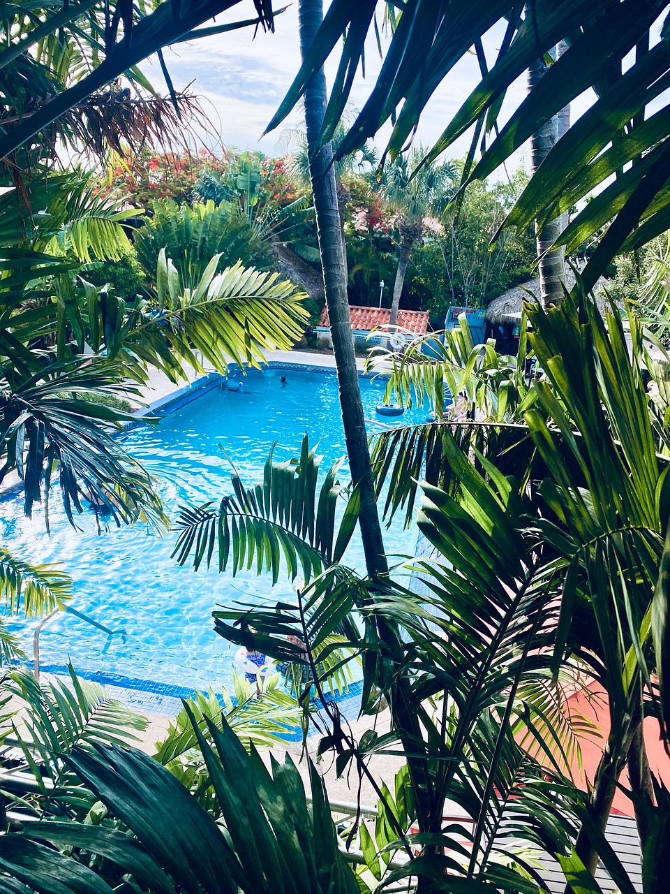 Piscina Agua Naturaleza - Foto gratis en Pixabay