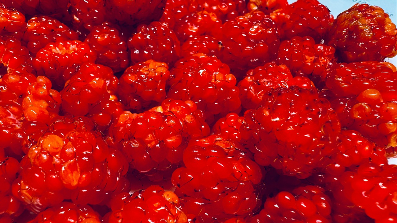 Raspberry Plant Fruit - Free photo on Pixabay - Pixabay