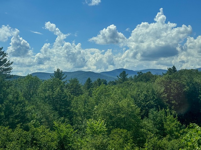 100,000+ Free Vermont City & Vermont Images - Pixabay