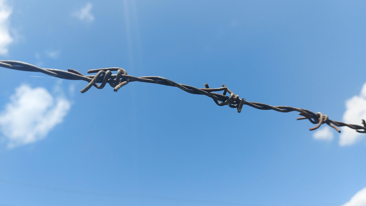 Stacheldraht Grenze Bildein - Kostenloses Foto auf Pixabay