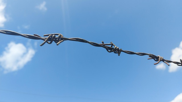 Stacheldraht Grenze Bildein - Kostenloses Foto auf Pixabay