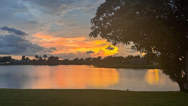 40,000+ Free Florida Landscape & Florida Images - Pixabay