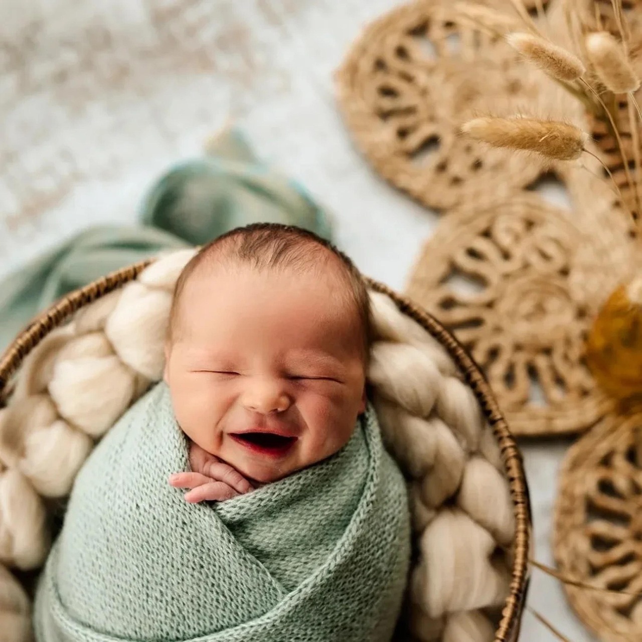20,000+ Free New Life & Nature Images - Pixabay