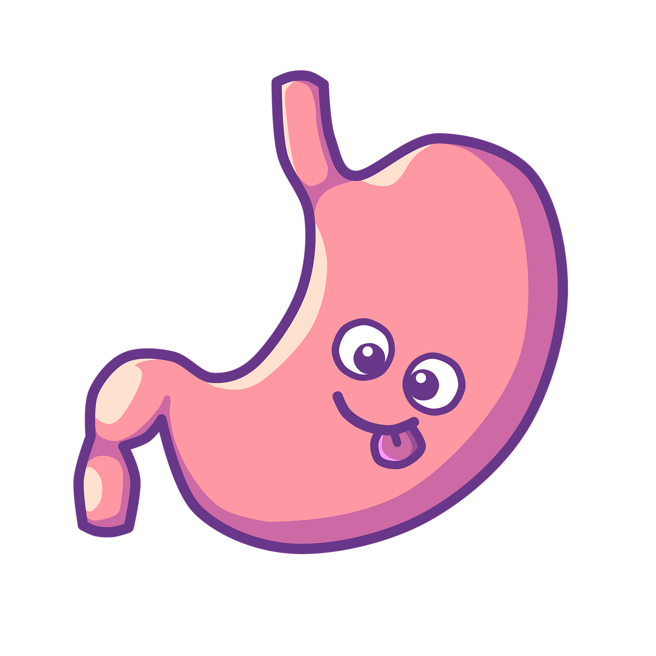 Download Stomach, Digestive, Anatomy. Royalty-Free Stock Illustration ...