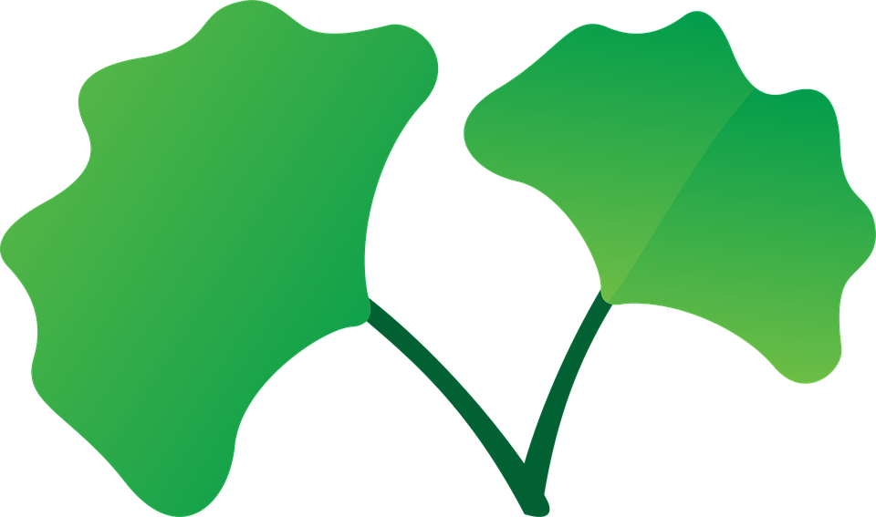 Download Ivy Leaf Icon, English Ivy Icon, Ivy Outline Vector. Royalty ...