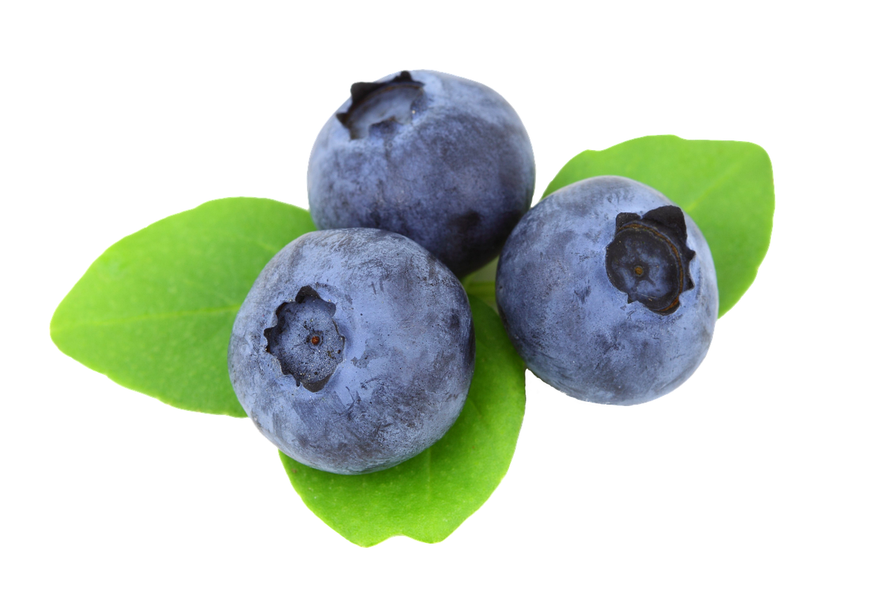 Download Blueberries, Fruit, Food. Royalty-Free Stock Illustration ...