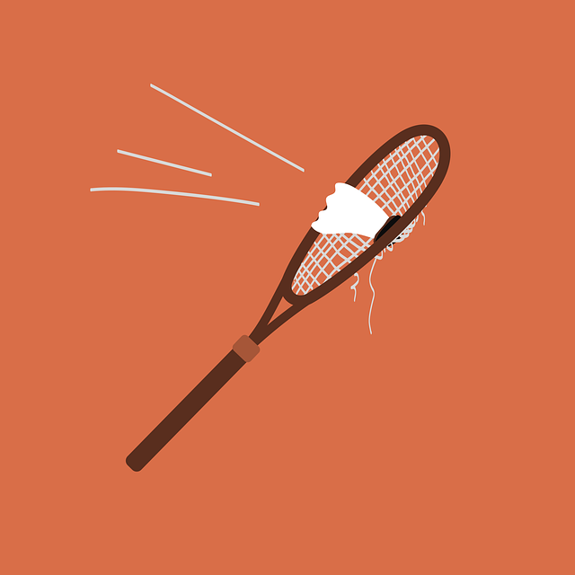 Download Shuttlecock, Sport, Racket. Royalty-Free Vector Graphic - Pixabay