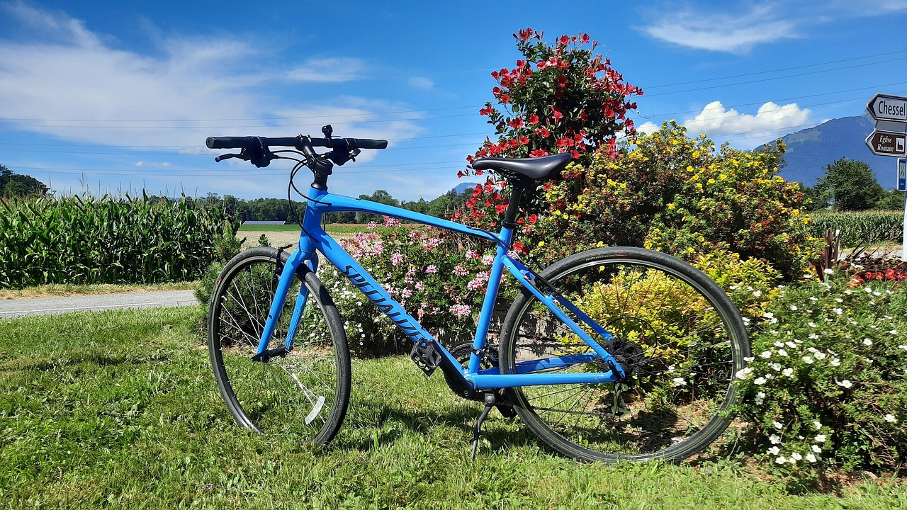 Bike Bicycle Bikes - Free photo on Pixabay - Pixabay