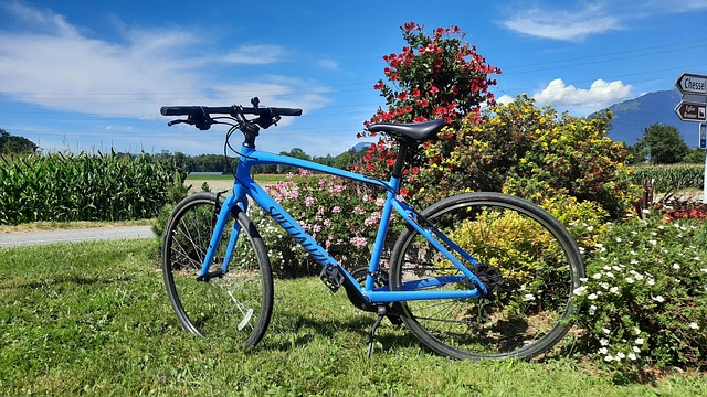 Bicicleta Bicicletas Natureza - Foto gratuita no Pixabay