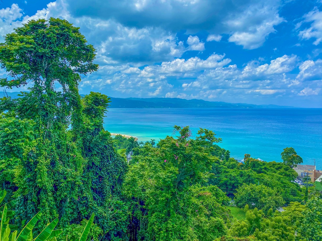Nature Forest Island - Free photo on Pixabay - Pixabay