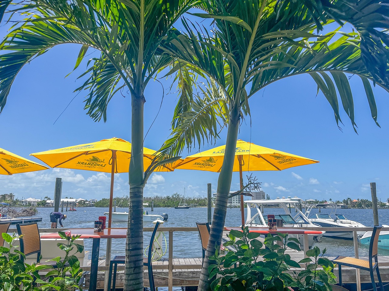 20,000+ Free Florida Beach & Florida Images - Pixabay