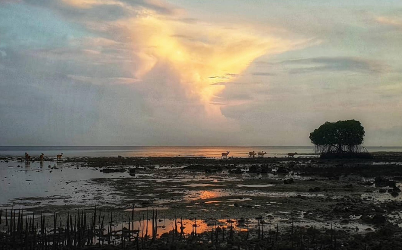 Bali Indonesien Natur - Kostenloses Foto auf Pixabay