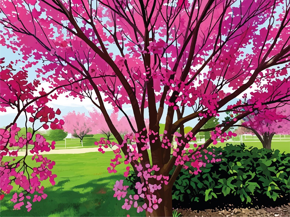 Download Tree, Nature, Branch. Royalty-Free Stock Illustration Image ...