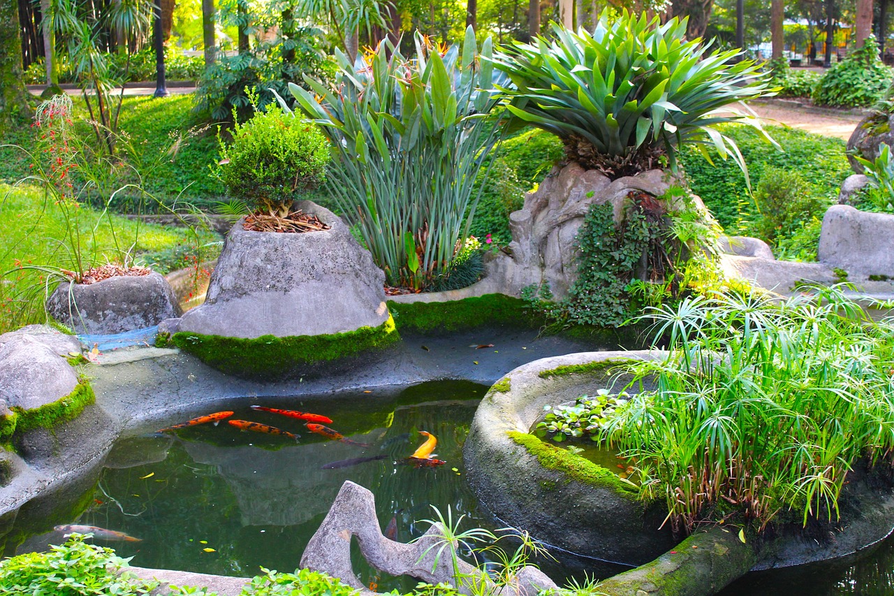 Pond Nature Water - Free photo on Pixabay - Pixabay