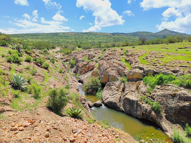 Natural Riacho Natureza - Foto gratuita no Pixabay