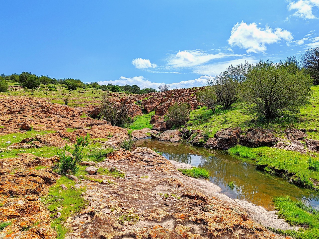 Riacho Natureza Brook - Foto gratuita no Pixabay - Pixabay