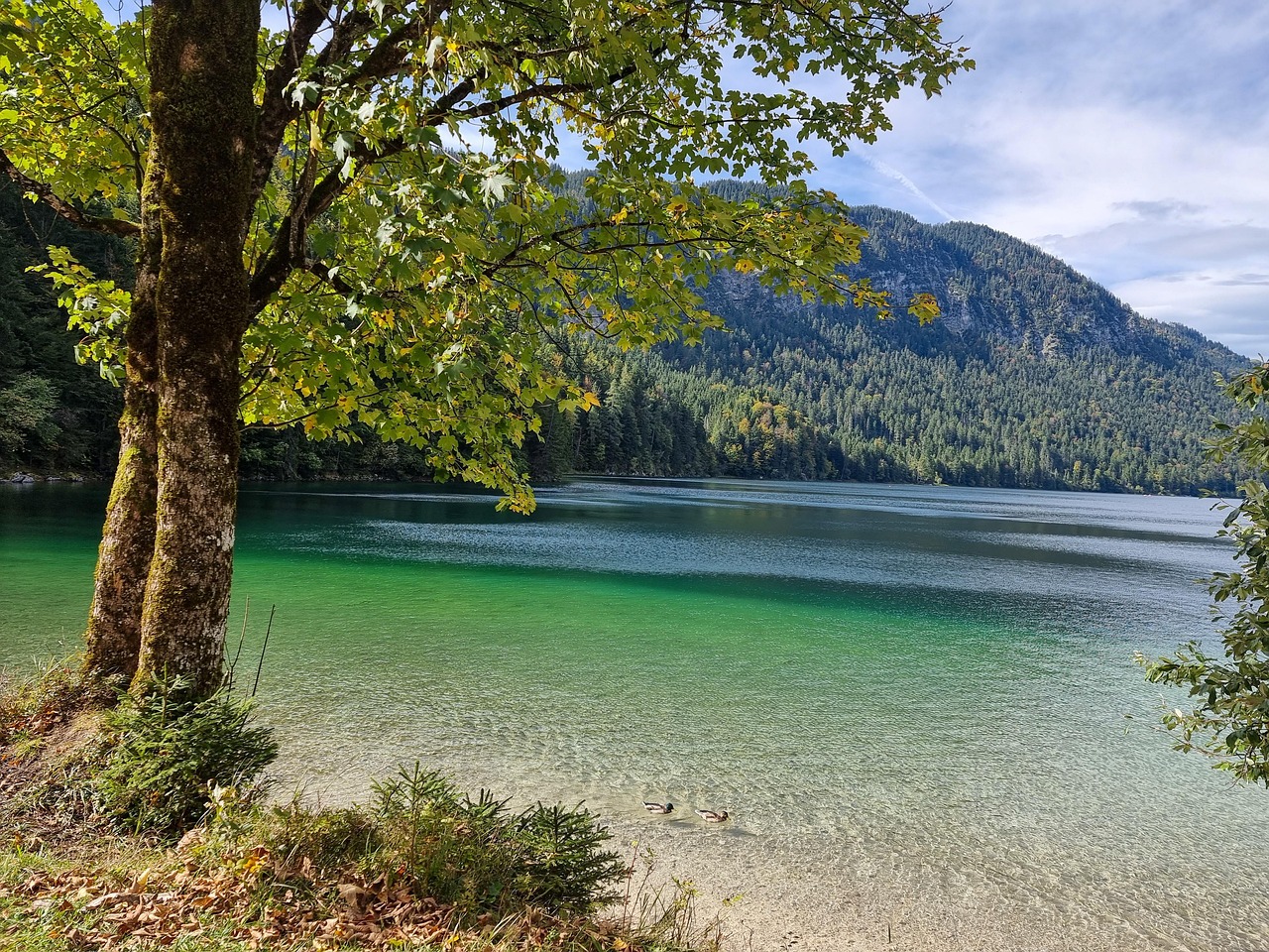 Lake Nature Water - Free photo on Pixabay