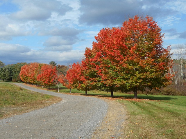 Autumn Foliage October - Free photo on Pixabay